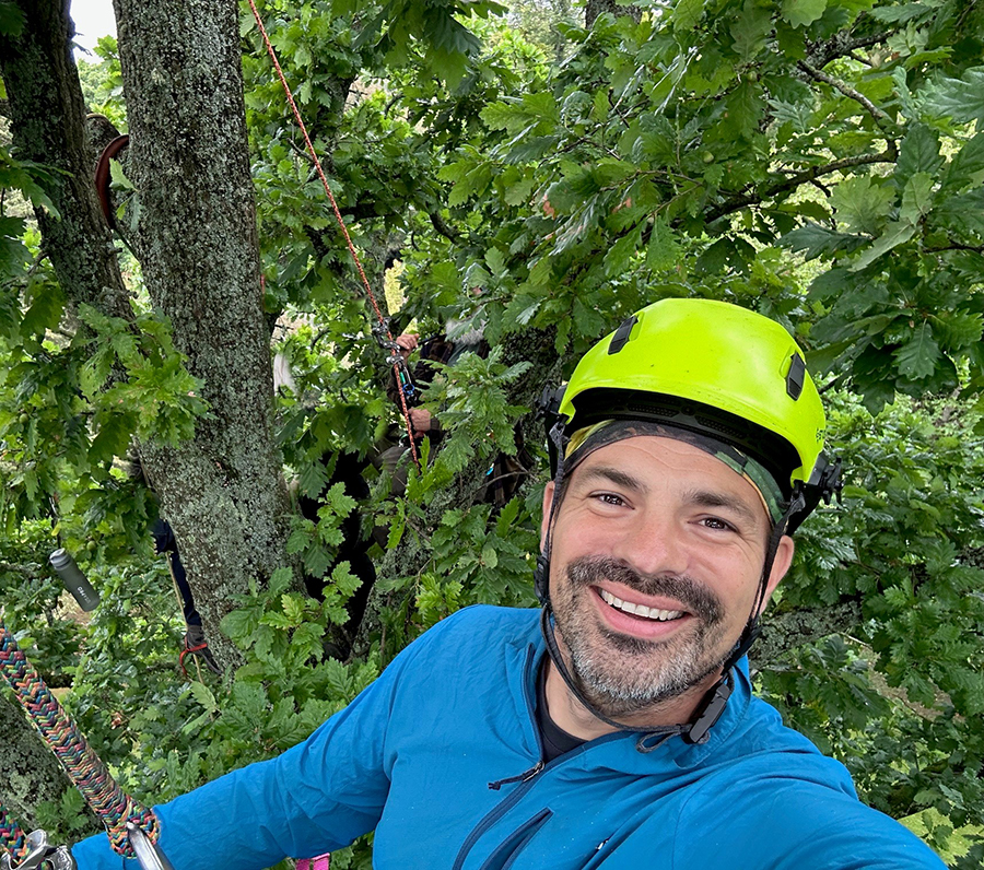 Protecting LA’s Giants: Extraordinary Steps to Preserve Our Large Trees ...