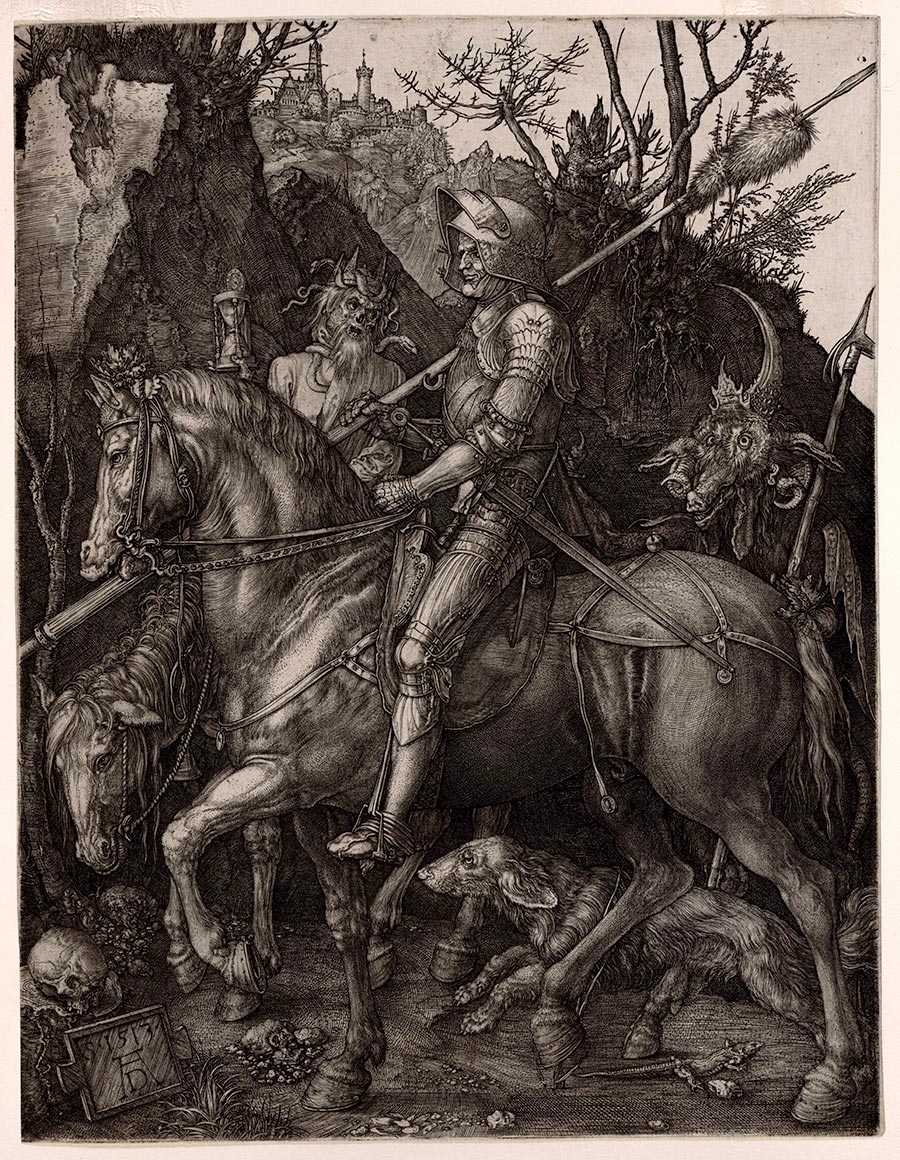 Giovane Lepre Albrecht Durer Albrecht Dürer, Lepre Giovane, (1502),