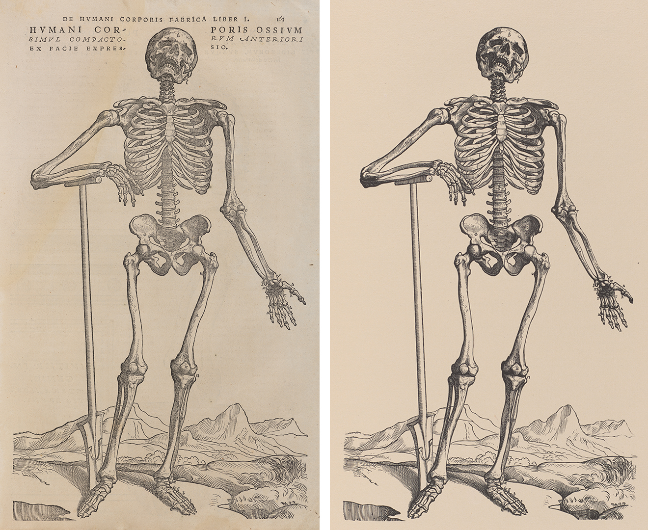 Anatomy of a Reunion: Bringing Vesalius’ “Fabrica” Home | The Huntington
