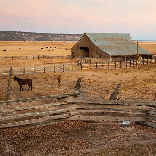 California Ranches: Lands in Transition | The Huntington