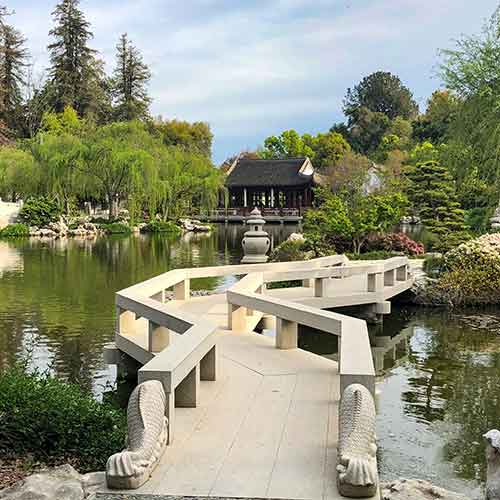 Botanical Workshop: How to Create a Chinese Garden at Home | The Huntington