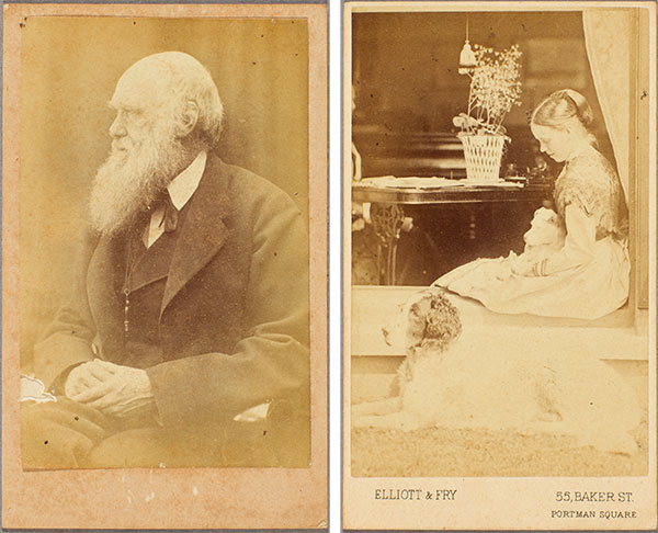 News Release - The Huntington Acquires Unique Darwin Photo Album | The ...